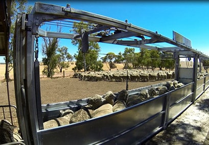 ProWay 12m Bulk Handler, Clifton Farm, Western Australia