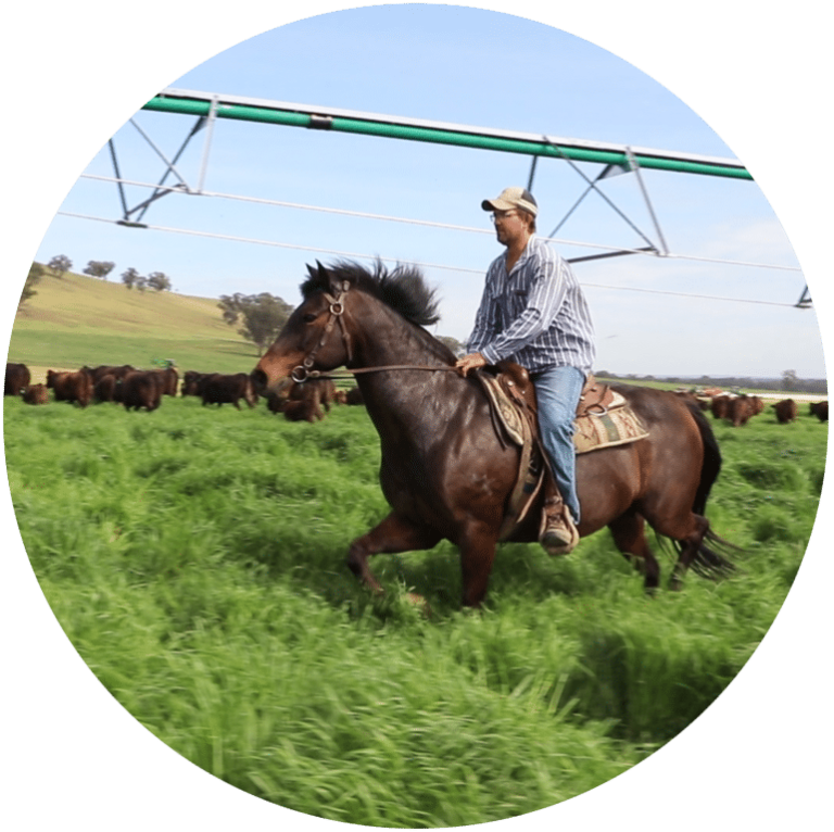 Livestock Handling & Equipment Manufacturers - ProWay