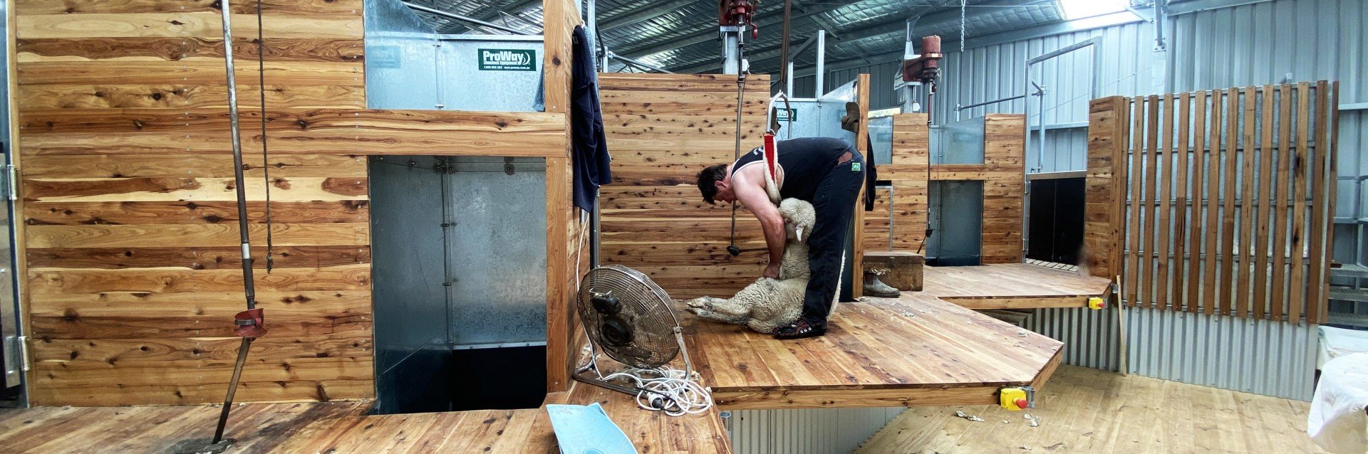 Shearing Shed Design Features – ProWay