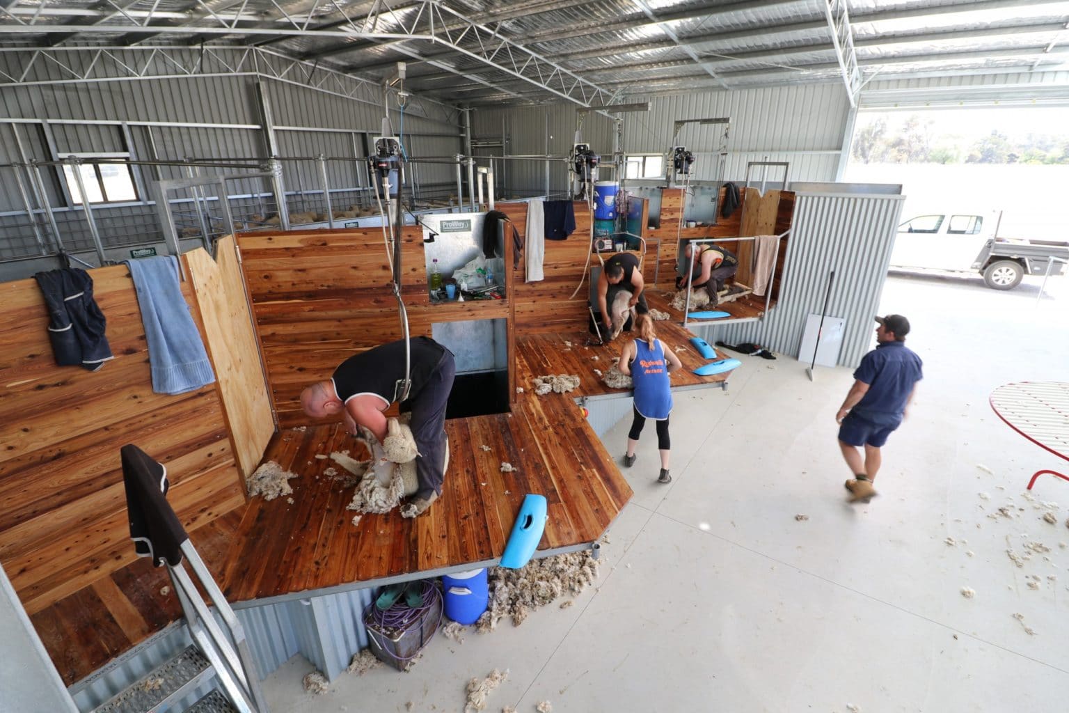 Shearing Shed Board Configurations - ProWay
