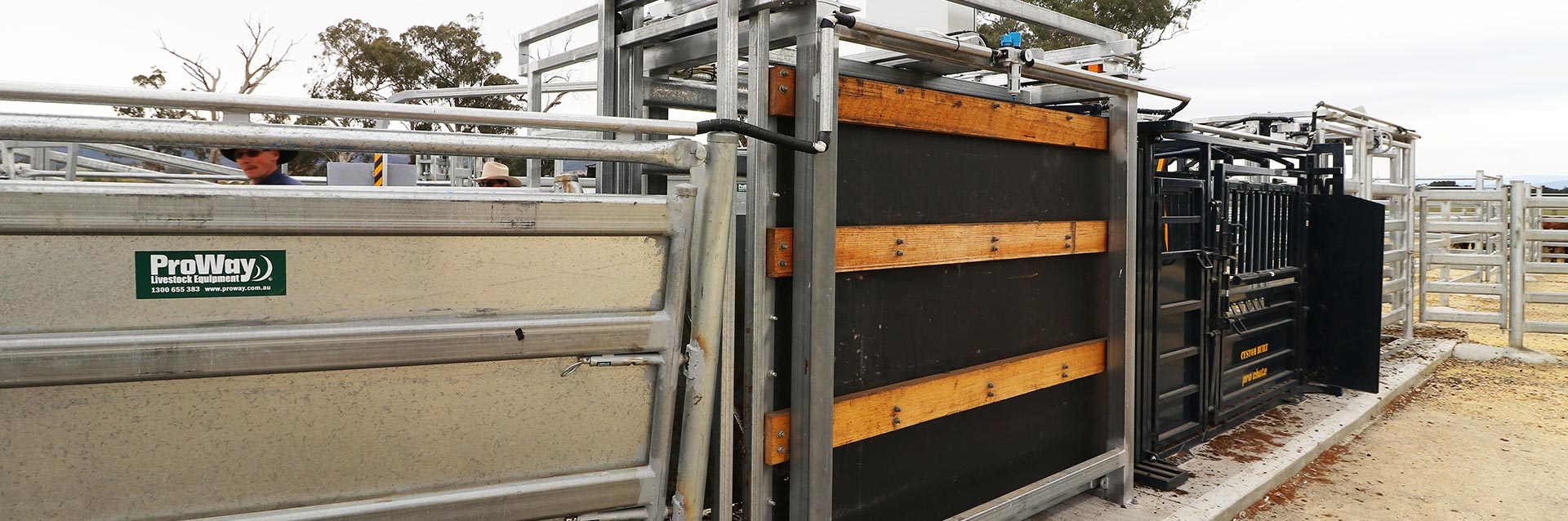 Temperate Breed Cattle Yard Features – ProWay