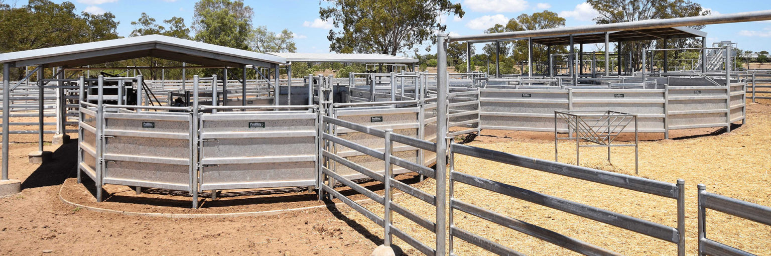 Temperate Breed Cattle Yard Features – ProWay