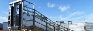 Cattle Loading Ramps | Cattle Handling Facilities | ProWay