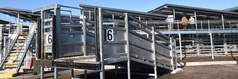 Cattle Loading Ramps | Cattle Handling Facilities | ProWay