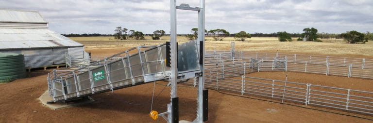 Sheep Loading Ramps - ProWay Quality Livestock Equipment