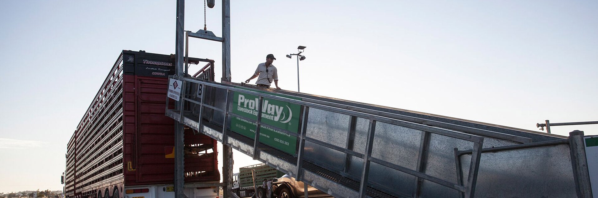 Sheep Loading Ramps - ProWay Quality Livestock Equipment