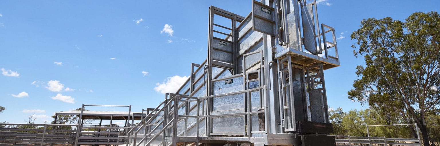Cattle Loading Ramps | Cattle Handling Facilities | ProWay