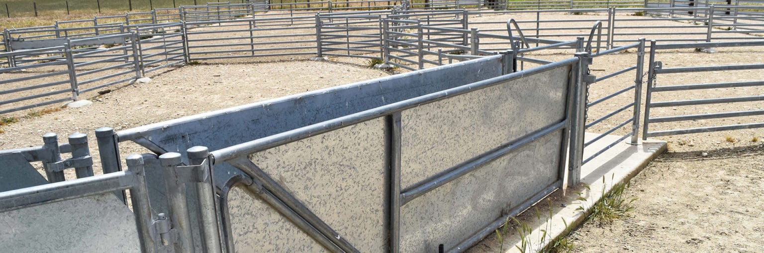 Sheep Yard Designs | Custom Sheep Yards | ProWay Australia