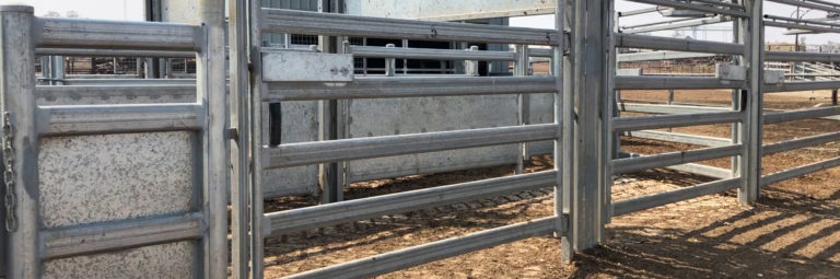 Pneumatic and Remote Cattle Handling - ProWay