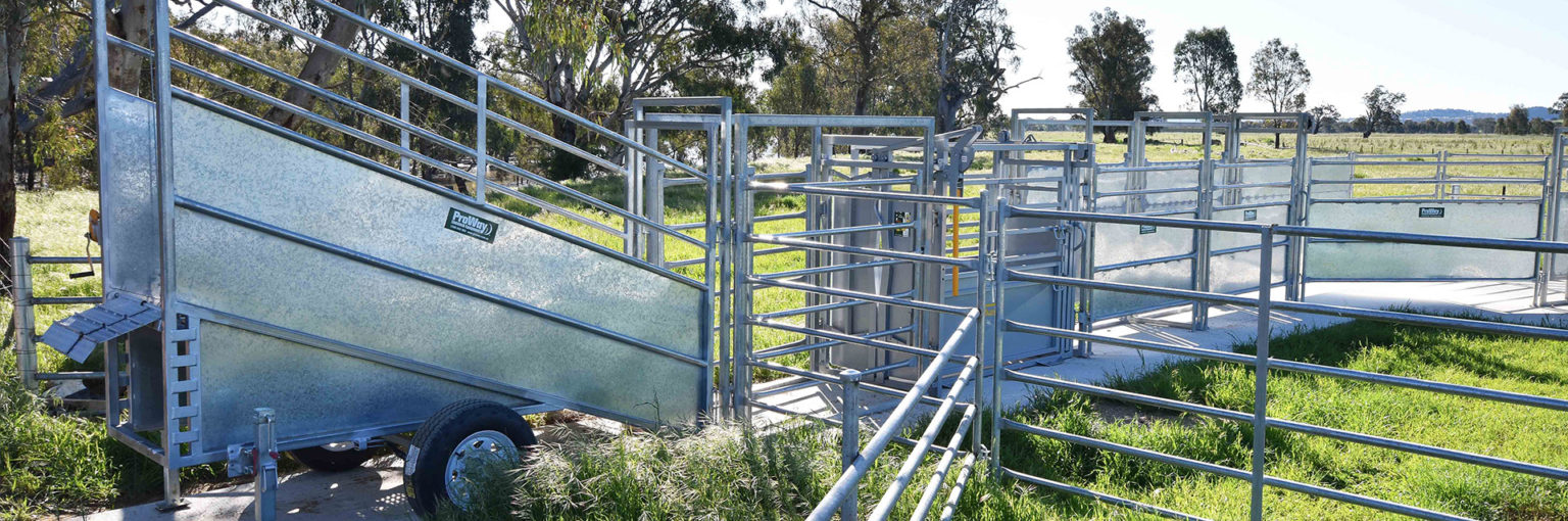 Cattle Loading Ramps | Cattle Handling Facilities | ProWay