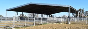 Sheep Yard Designs | Custom Sheep Yards | ProWay Australia