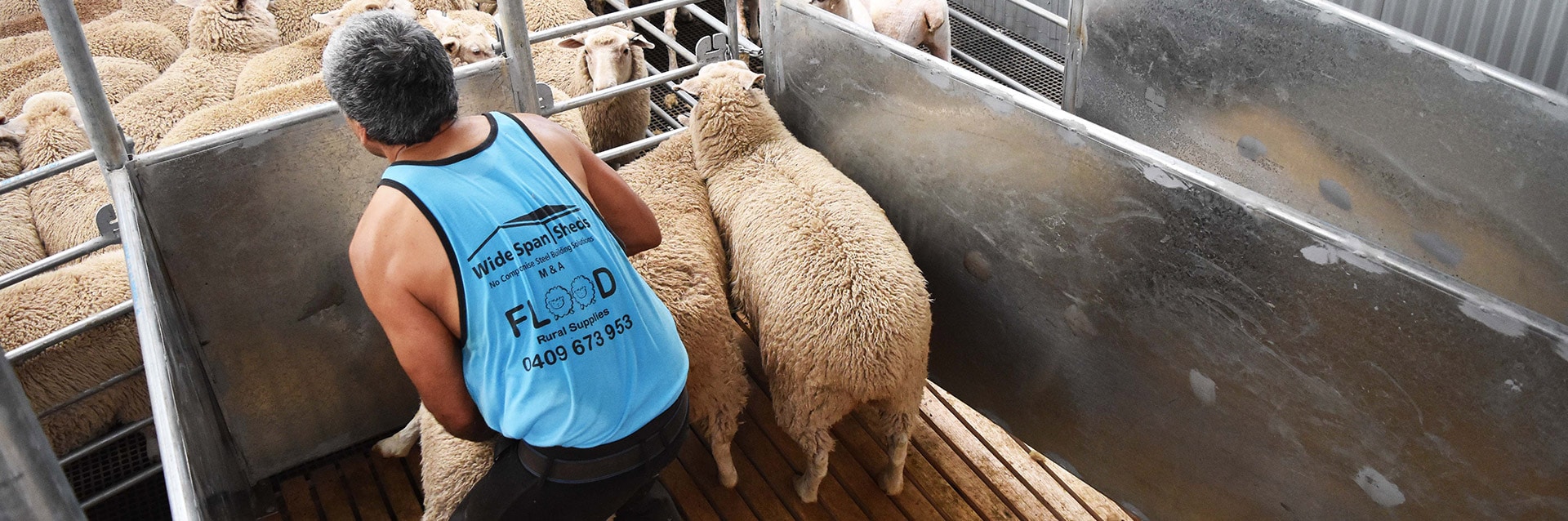 Wool Sheds | Sheering Shed Designs & Features | ProWay