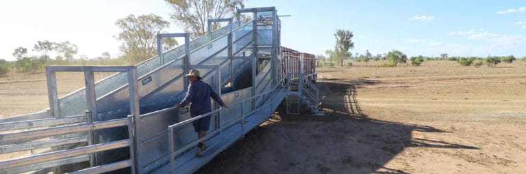 Cattle Loading Ramps | Cattle Handling Facilities | ProWay