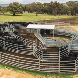 ProWay Cattle Yards - ProWay