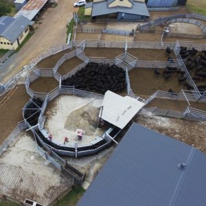 ProWay Cattle Yards - ProWay