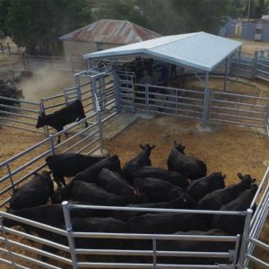 ProWay Cattle Yards - ProWay