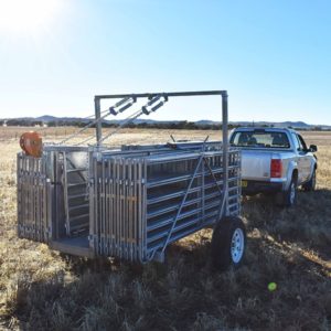 Sheep Handling Products Archives - Page 3 of 3 - ProWay