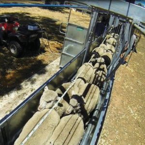 12m Permanent Bulk Handler - ProWay