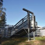 Cattle Handling Products Archives - ProWay