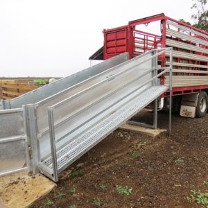 Sheep Handling Products Archives - ProWay