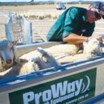 6m Mobile Bulk Handler - ProWay