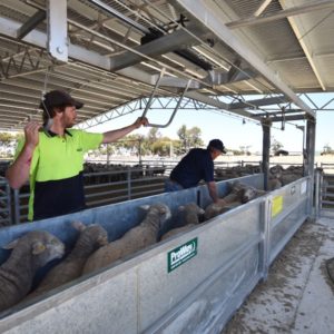 6m Permanent Bulk Handler - ProWay