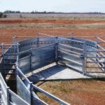 Cattle Rotary Force - ProWay