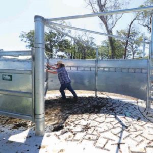 Cattle Rotary Force - ProWay