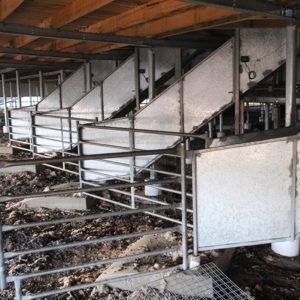 Shearing Shed Products Archives - ProWay