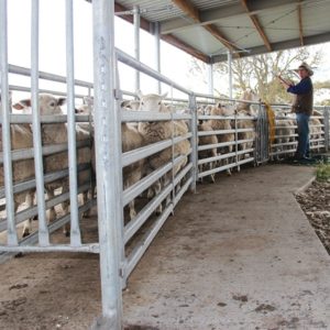 Guillotine Gates - ProWay