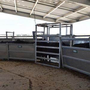 Pneumatic Race Draft - ProWay