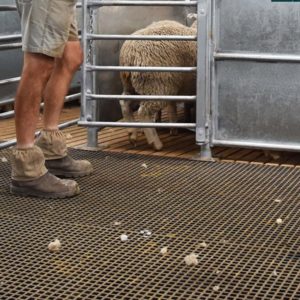 Fibreglass Composite Panel Grating - ProWay