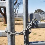 Sheep Handling Products Archives - Page 2 of 3 - ProWay