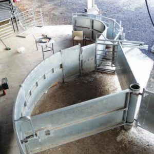 Sheep Rotary Force - ProWay