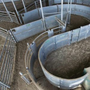 Sheep Rotary Force - ProWay