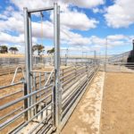 Sheep Handling Products Archives - Page 2 of 3 - ProWay