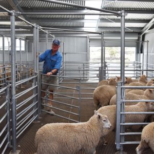 Shearing Shed Products Archives - ProWay