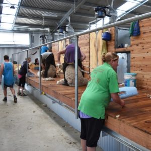 Shearing Shed Products Archives - ProWay