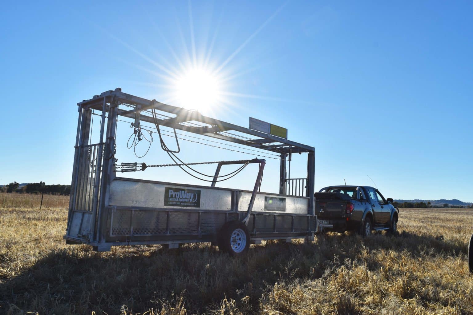 Sheep Bulk Handler - ProWay