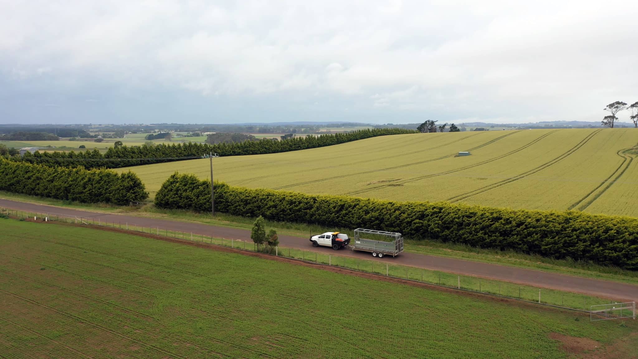 6M Contractor Bulk Handler - ProWay