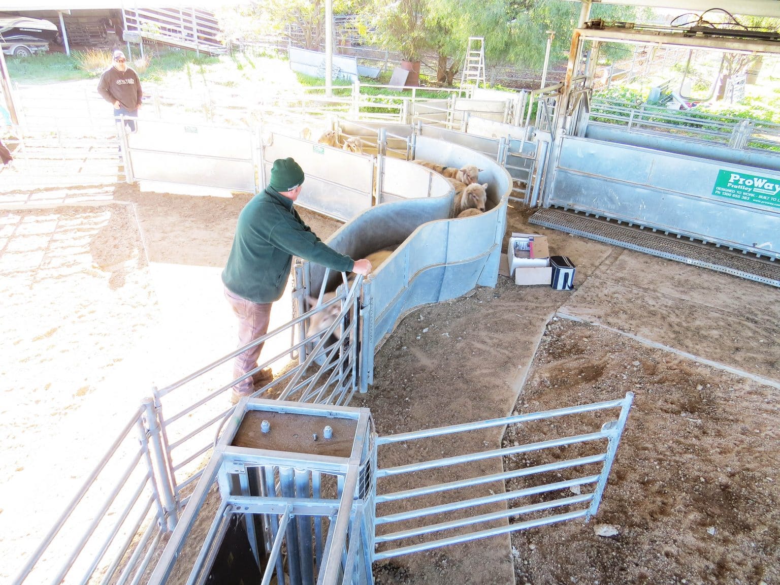 Serpentine Draft Race - ProWay