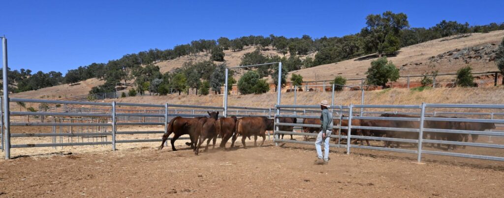 ProWay’s Principles of Design: Understanding Flight Zones and Point of ...