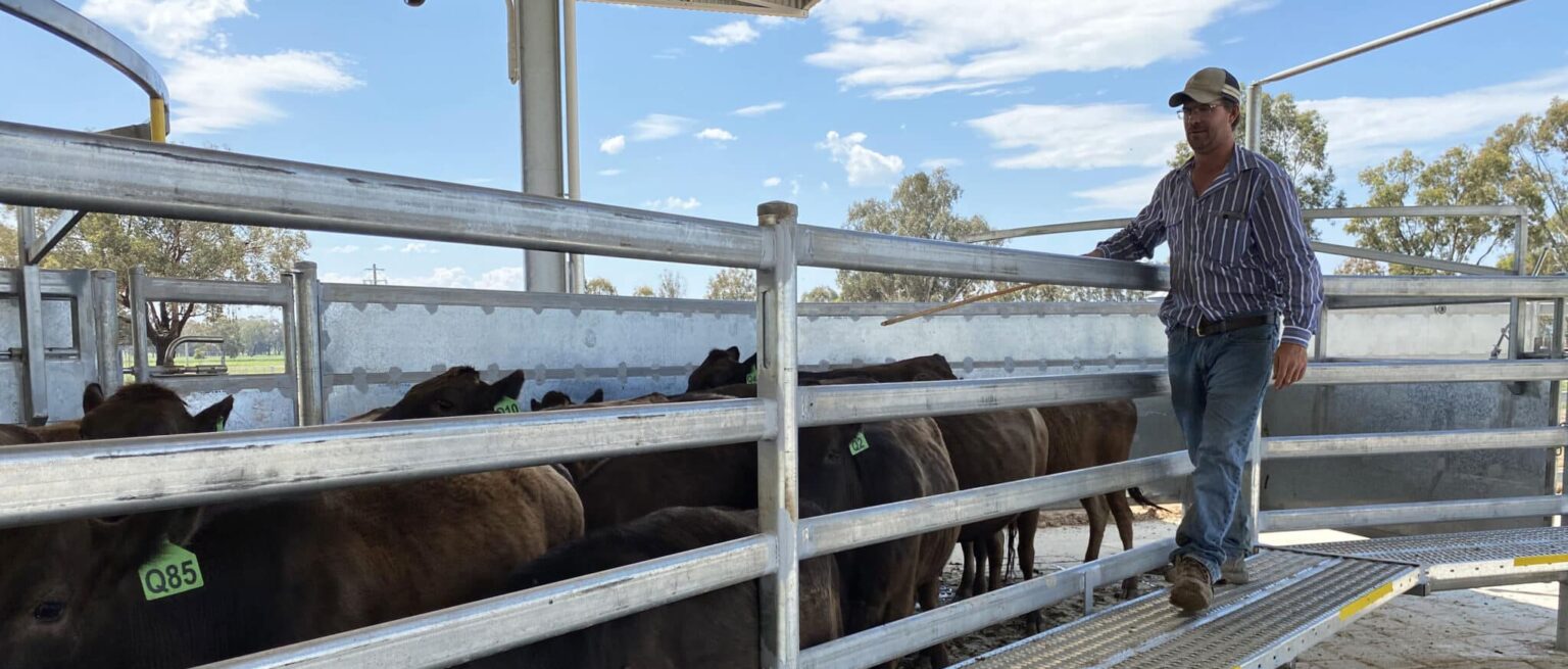 ProWay’s Principles of Design: Understanding Flight Zones and Point of ...