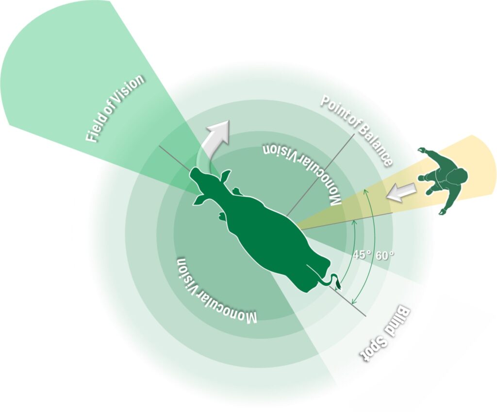 ProWay’s Principles of Design: Understanding Flight Zones and Point of ...
