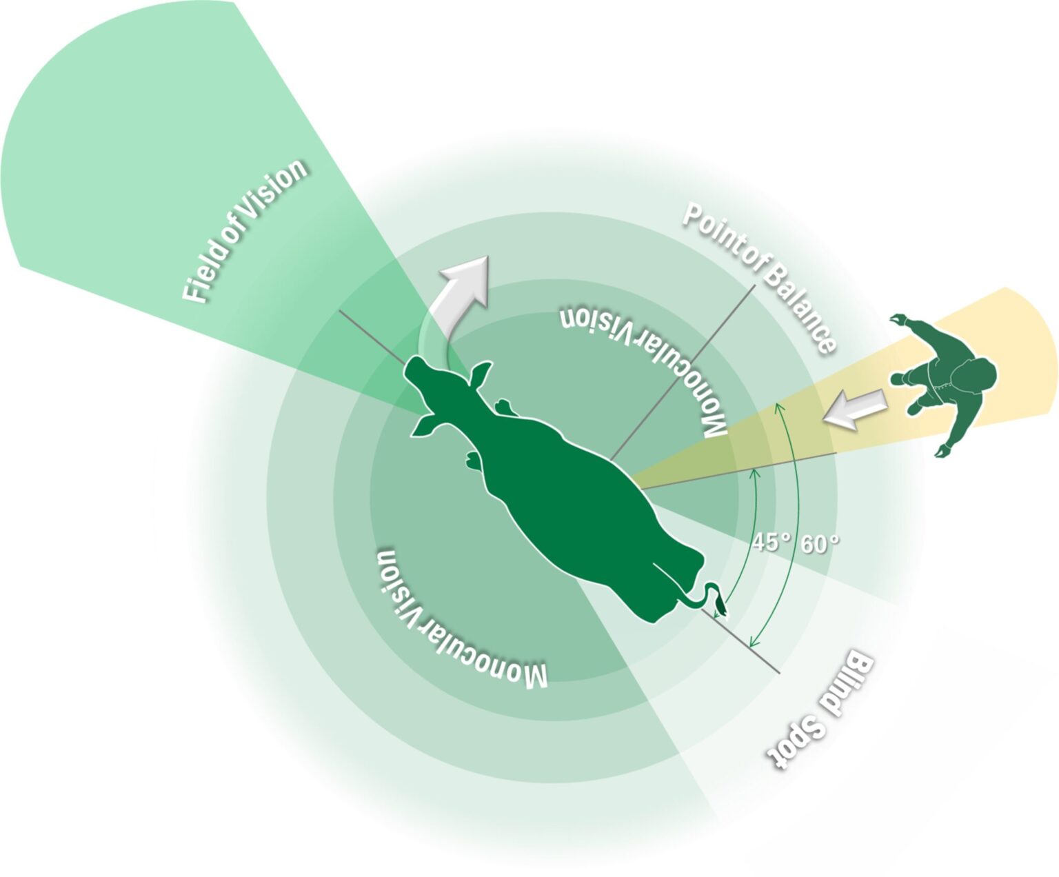 ProWay’s Principles of Design: Understanding Flight Zones and Point of ...
