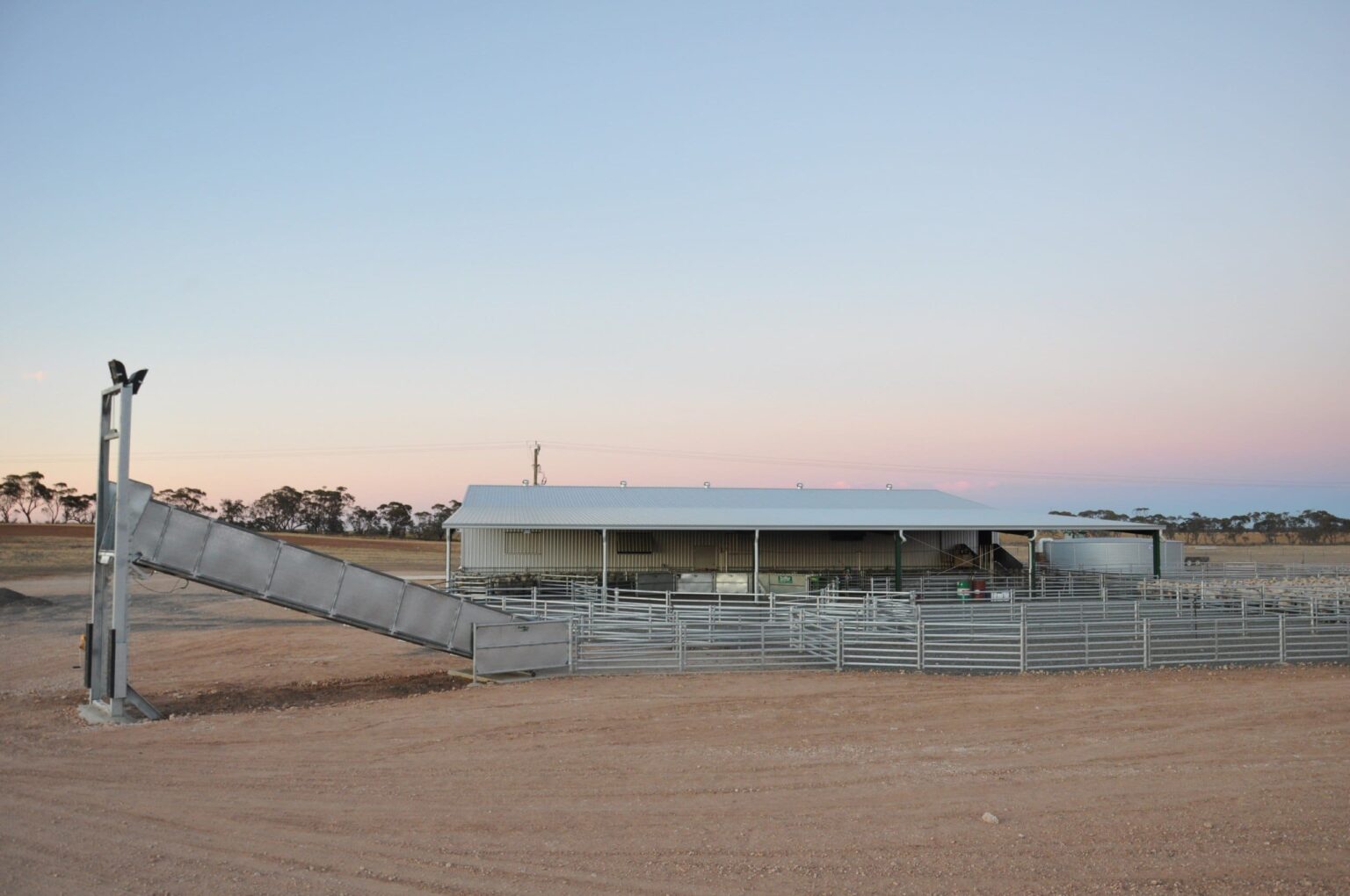 Sheep Loading Ramps - ProWay | 20+ Years Quality Experience