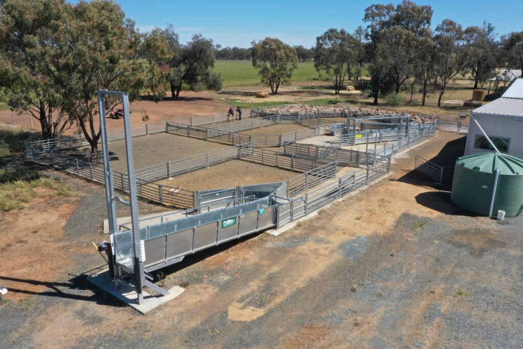 Sheep Loading Ramps - ProWay | 20+ Years Quality Experience