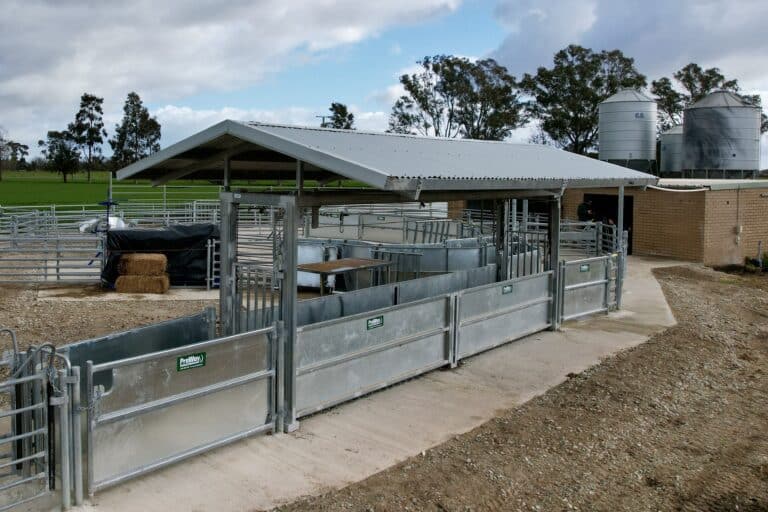 Sheep Bulk Handler - ProWay | 20+ Years Quality Experience